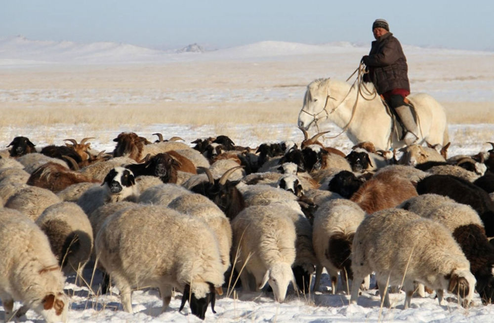 Малчид зээлээ тэглүүлэх хүүг нь чөлөөлүүлэх талаар огт яриагүй