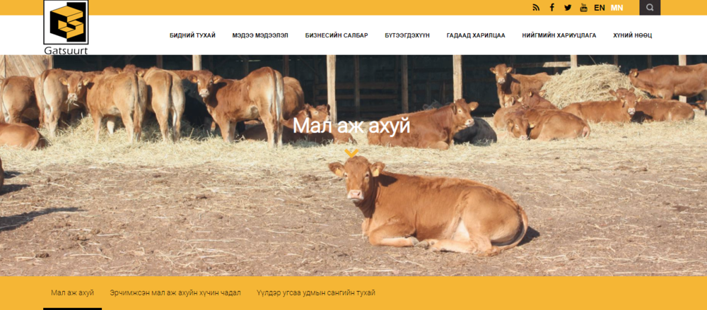 Сангийн яам “Гацуурт” ХХК улсад хохирол учруулсаар байна