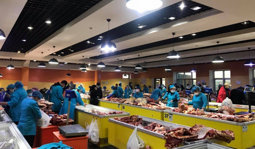 Хүчит шонхор захыг 29 сая төгрөгөөр торгожээ