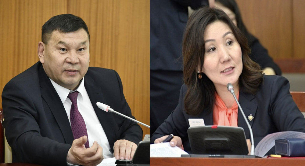 М Оюунчимэг Ж Батжаргал нарыг МАН ын бүлгийн дэд даргаар томиллоо