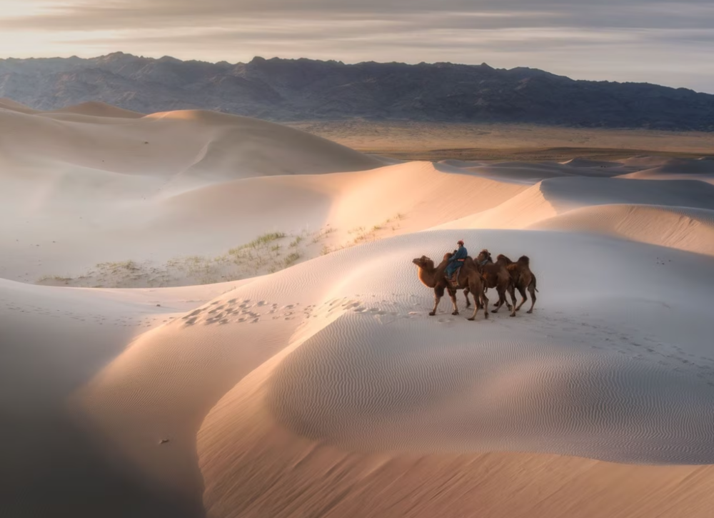 НҮБ Монгол Улс дэлхийн усны нөөцийн эрсдэл өндөртэй 36 орны нэгд багтжээ