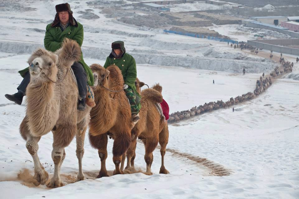 ”Монгол коммент” нэвтрүүлэгт мэдэгдэл хүргүүлнэ