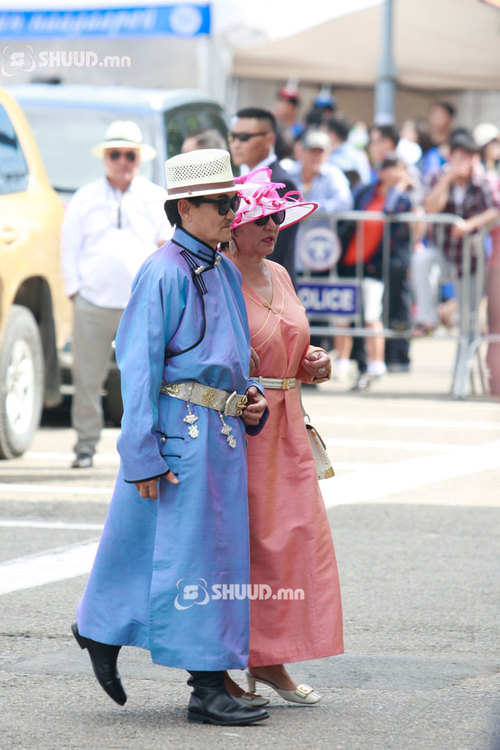 Төрийн түшээдийн наадмын гоёл