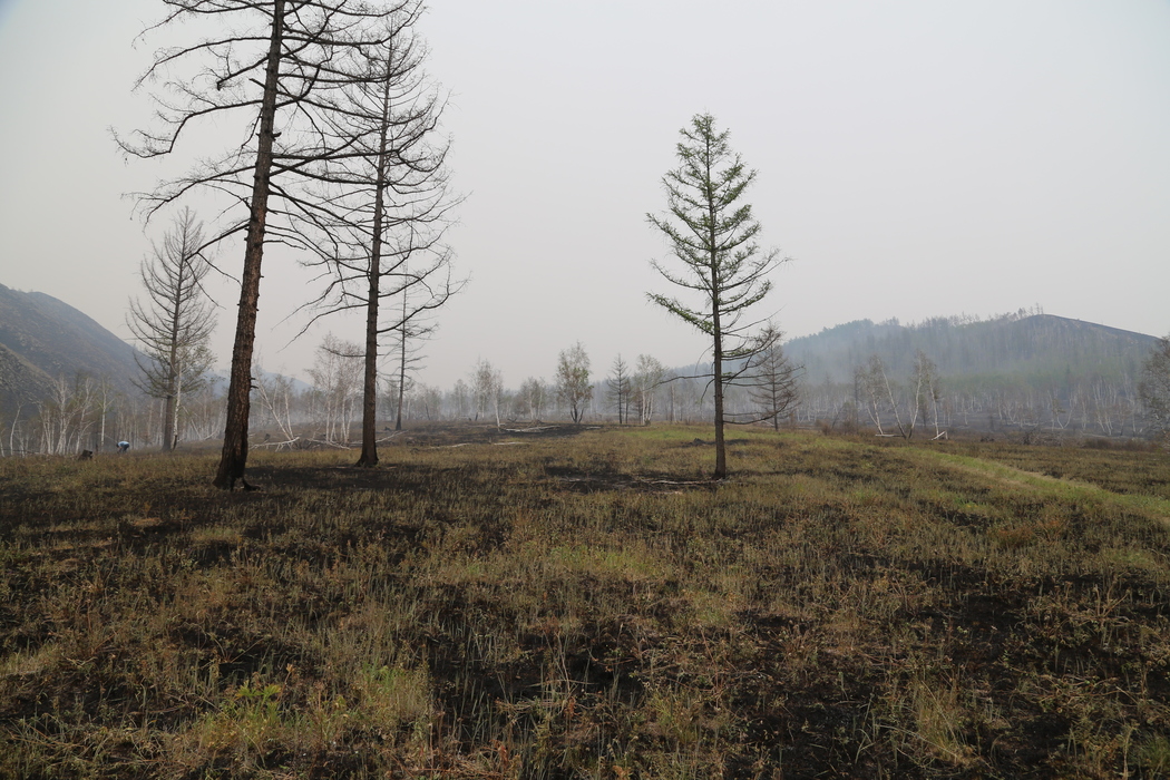 Үүл буудаж түймрийн бүс нутагт бороо орууллаа